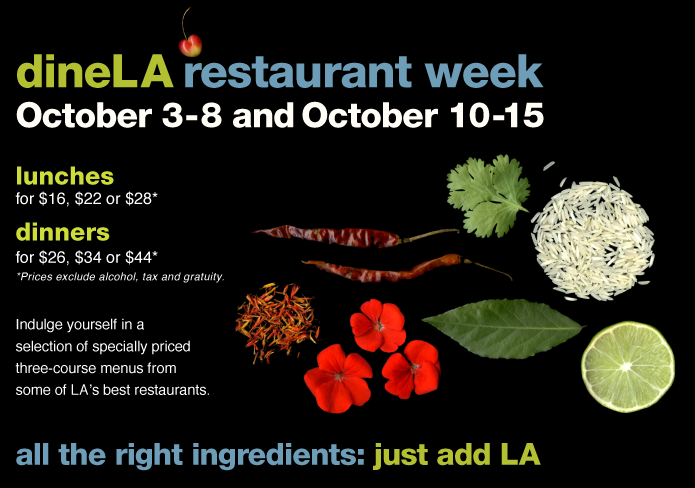 The Chic Bargainista®: October 2010