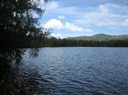 Saipan Pictures: Lake Susupe