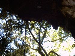 Saipan Pictures: Kalabera Cave