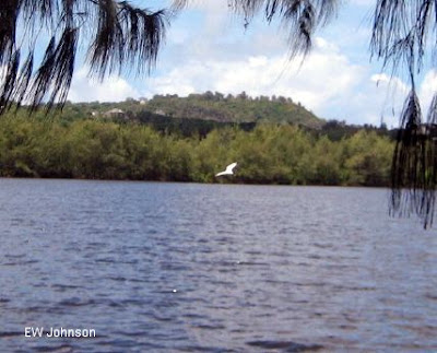 Saipan Pictures: Lake Susupe