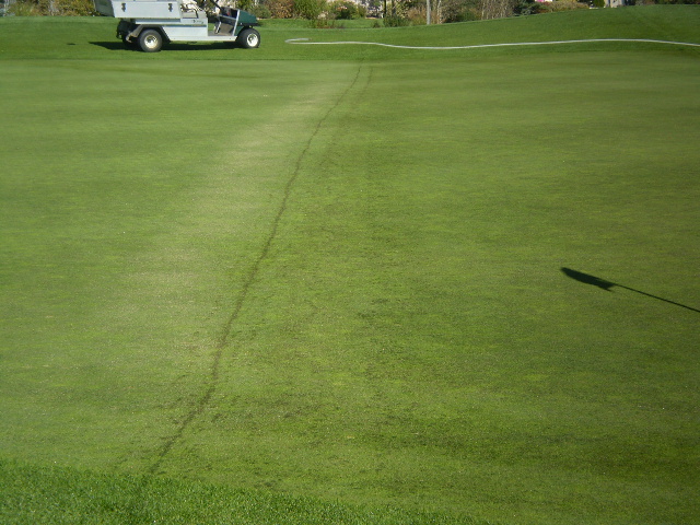 The Broadlands Golf Course Maintenance Update: Hydraulic Leak on 7 green