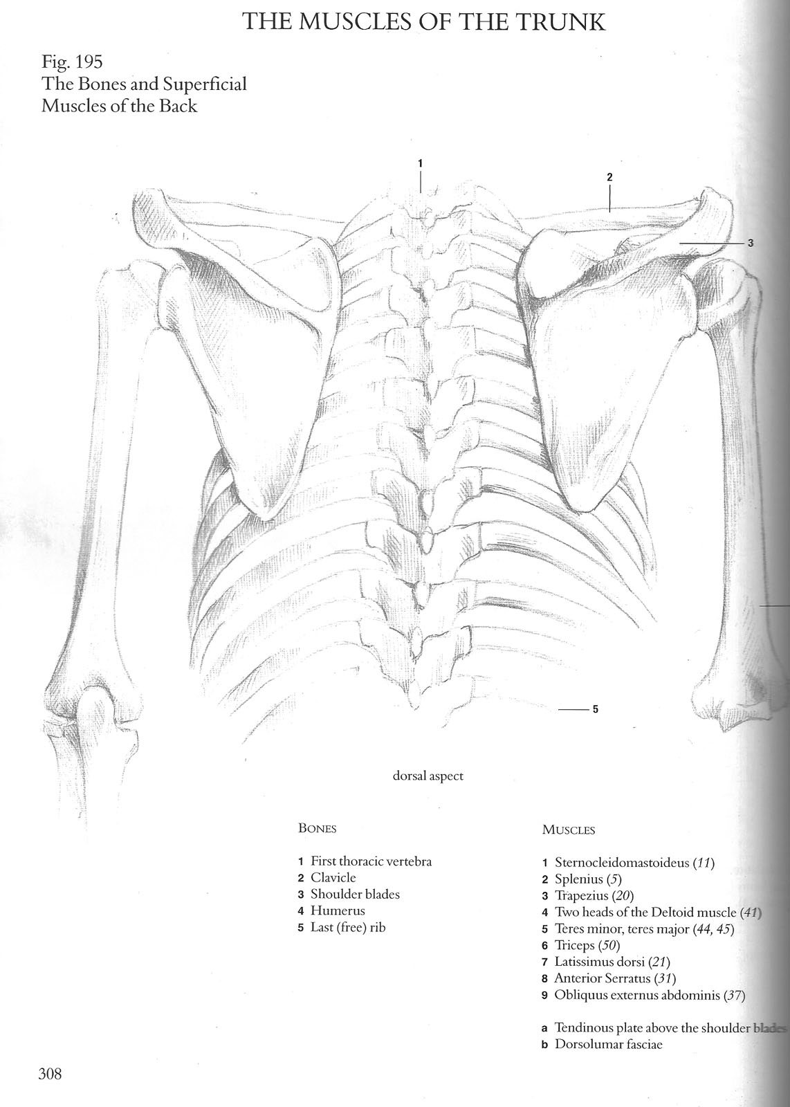 Foundation Drawing Section X