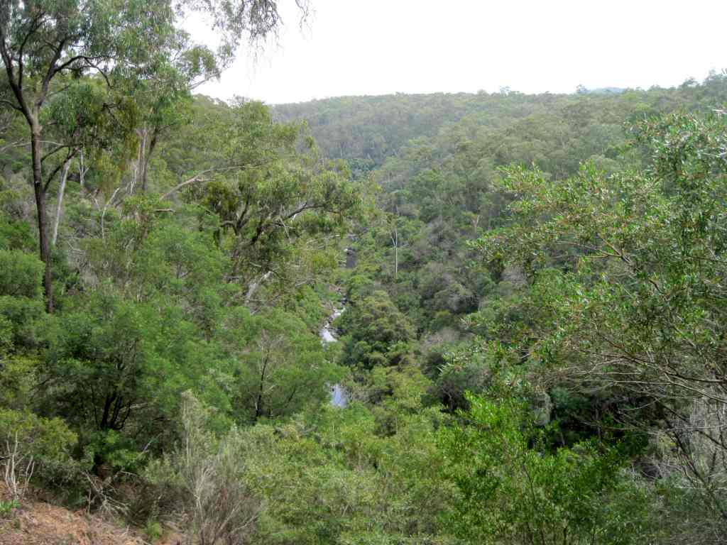 TRACKS, TRAILS AND COASTS NEAR MELBOURNE : Nowa Nowa scenes - Boggy ...