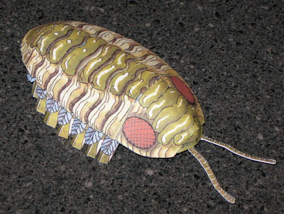 beautiful wallpaper: Prehistoric Trilobite Papercraft