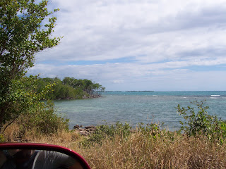 PUERTO RICO GALLERY: La Carretera Número 333, Guánica