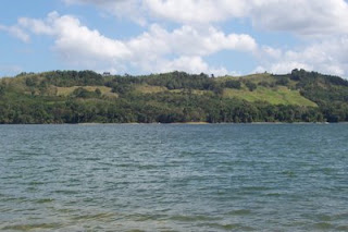 PUERTO RICO GALLERY: El Anfibio Del Lago Guajataca