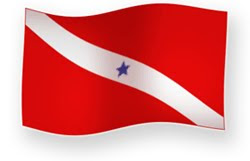 Conviver no Exterior: Símbolos cívicos do Estado do Pará