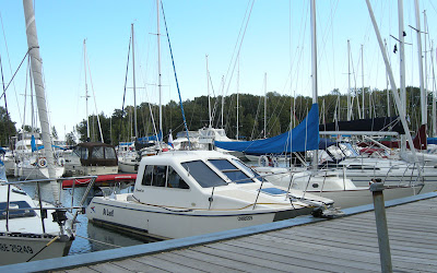 TomCat Tales: Port Dalhousie to Fifty Point