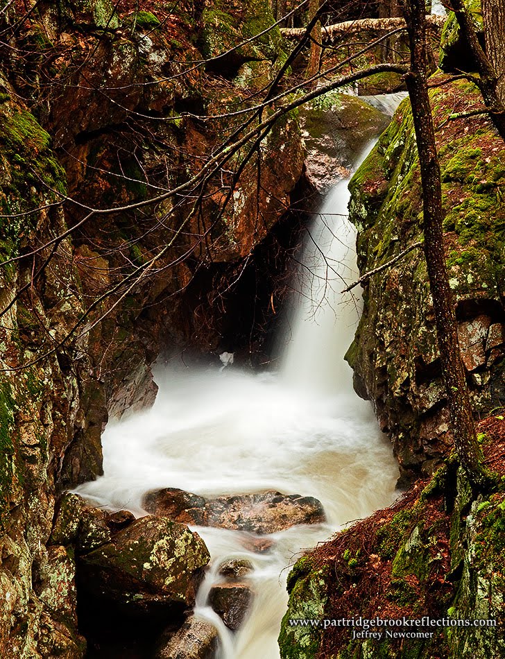 Getting it Right in the Digital Camera : Forty Foot Falls & Below