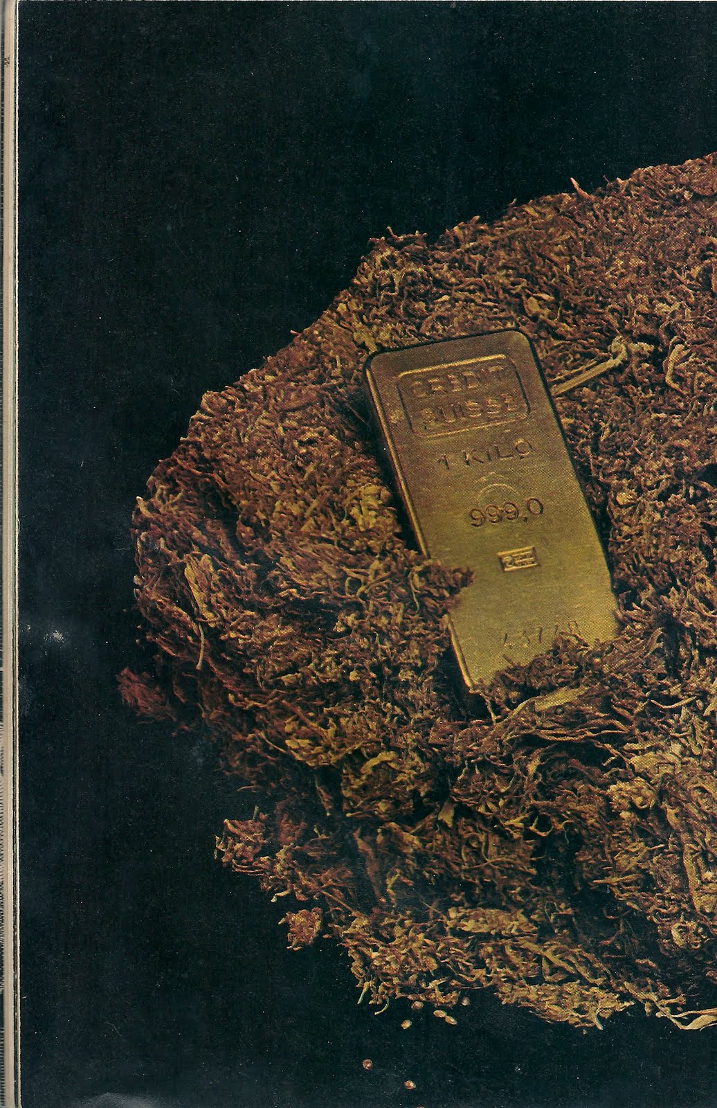 The Night Owl Blog: Colombian Gold