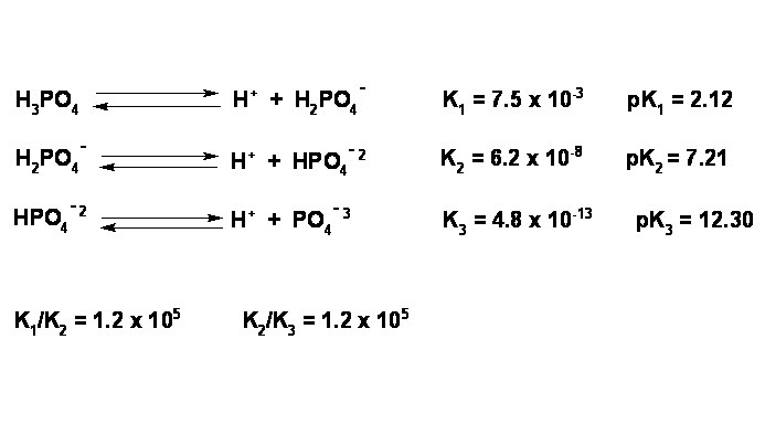 General Chemistry Lab: Neutralization of a polyprotic acid with a ...