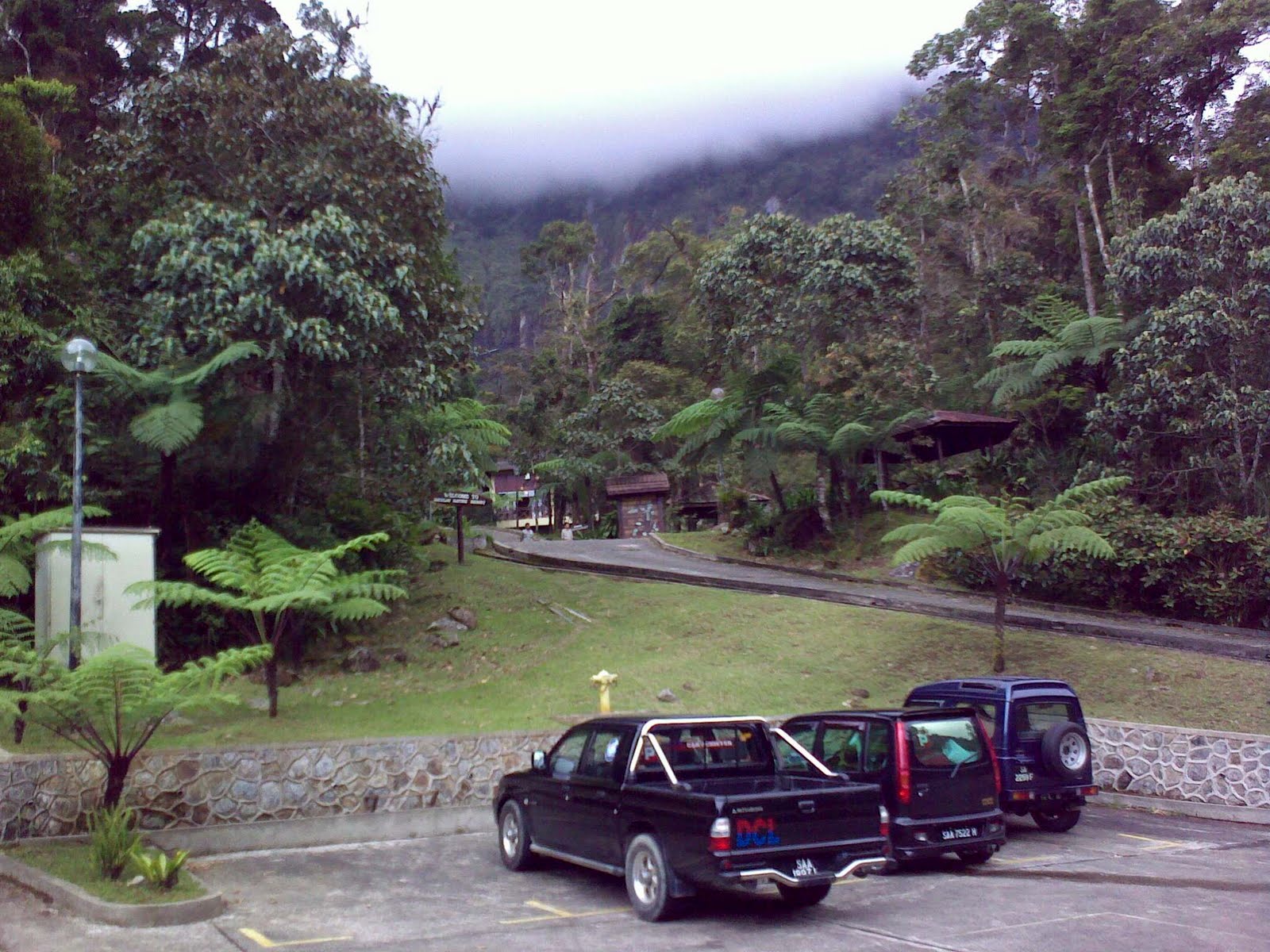 BEAUTIFUL PLACES ON EARTH: Mesilau Nature Park - Discovery Of Flora & Fauna