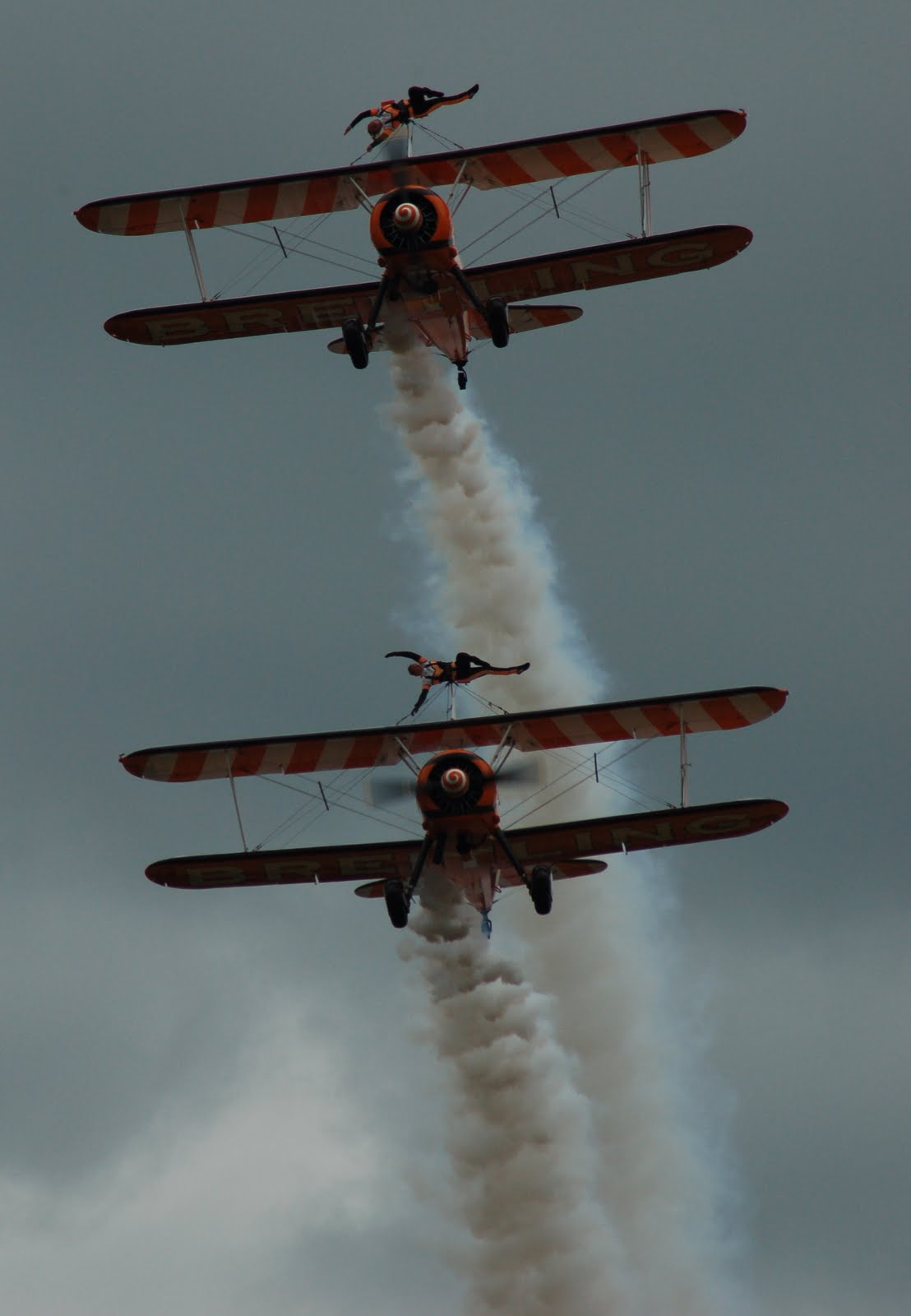 Through the Eyes of a Goldfishy: Day 194: Wing Walkers