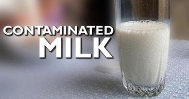 Melamilk - the scandal | Melamine Milk