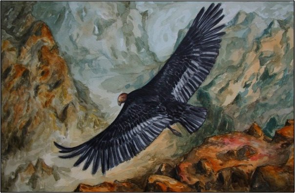 White Wolf : The Inca Prophecy : Eagle and Condor (Video)