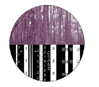 Dasometria 2010: Práctica Nº 1: Aparatos para la medición de diámetros ...