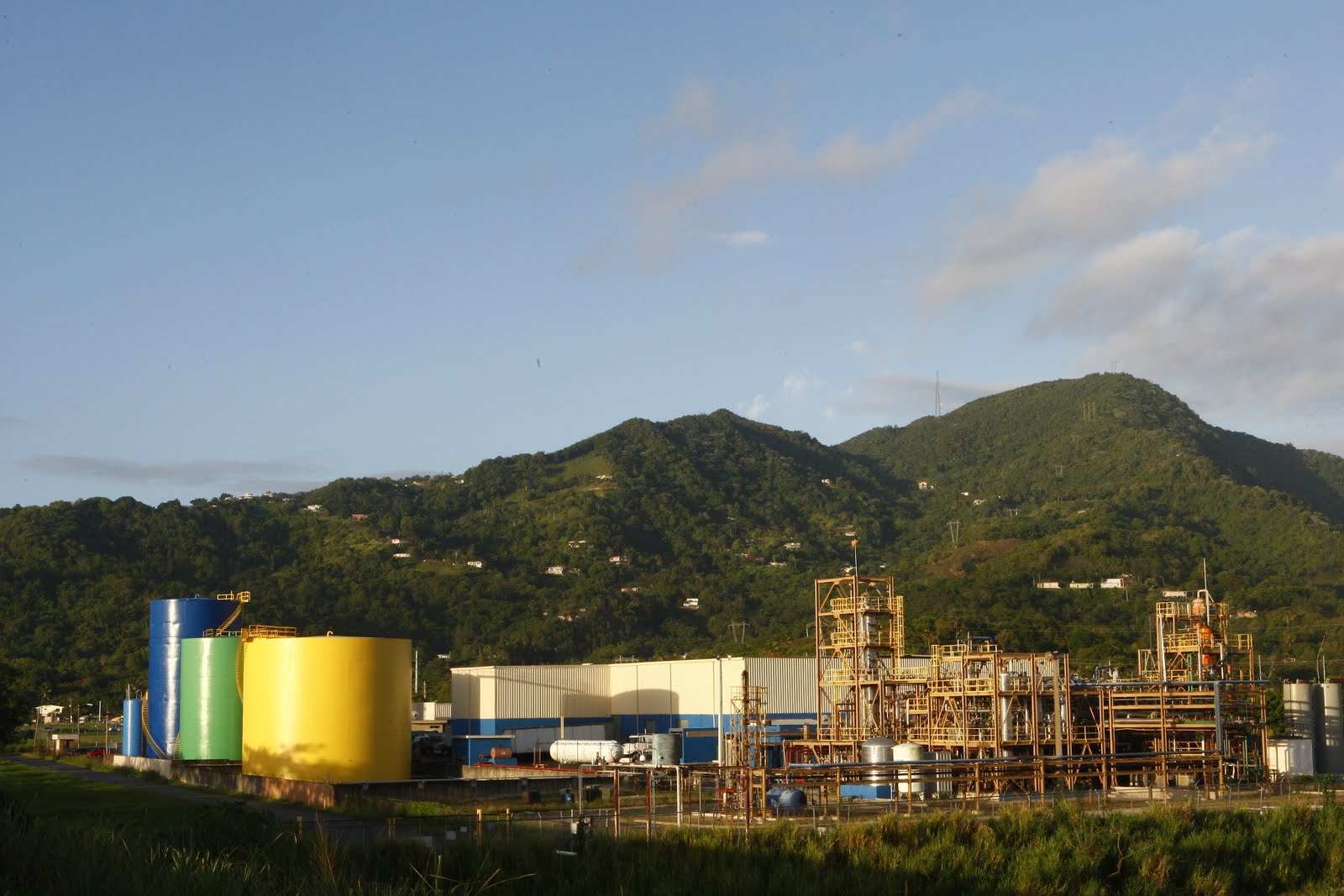 NO A La Quema de Aceite Usado: Olein Recovery, se ve obligado a reducir ...