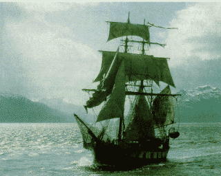 Charles Darwin's Beagle Diary: 24th November 1834