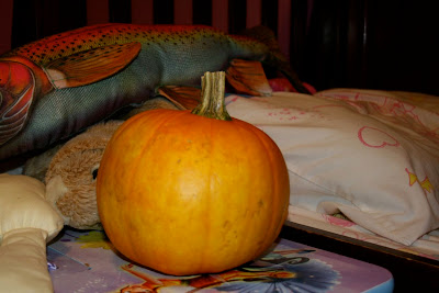 Smart-Bottom Enterprises: October 2009