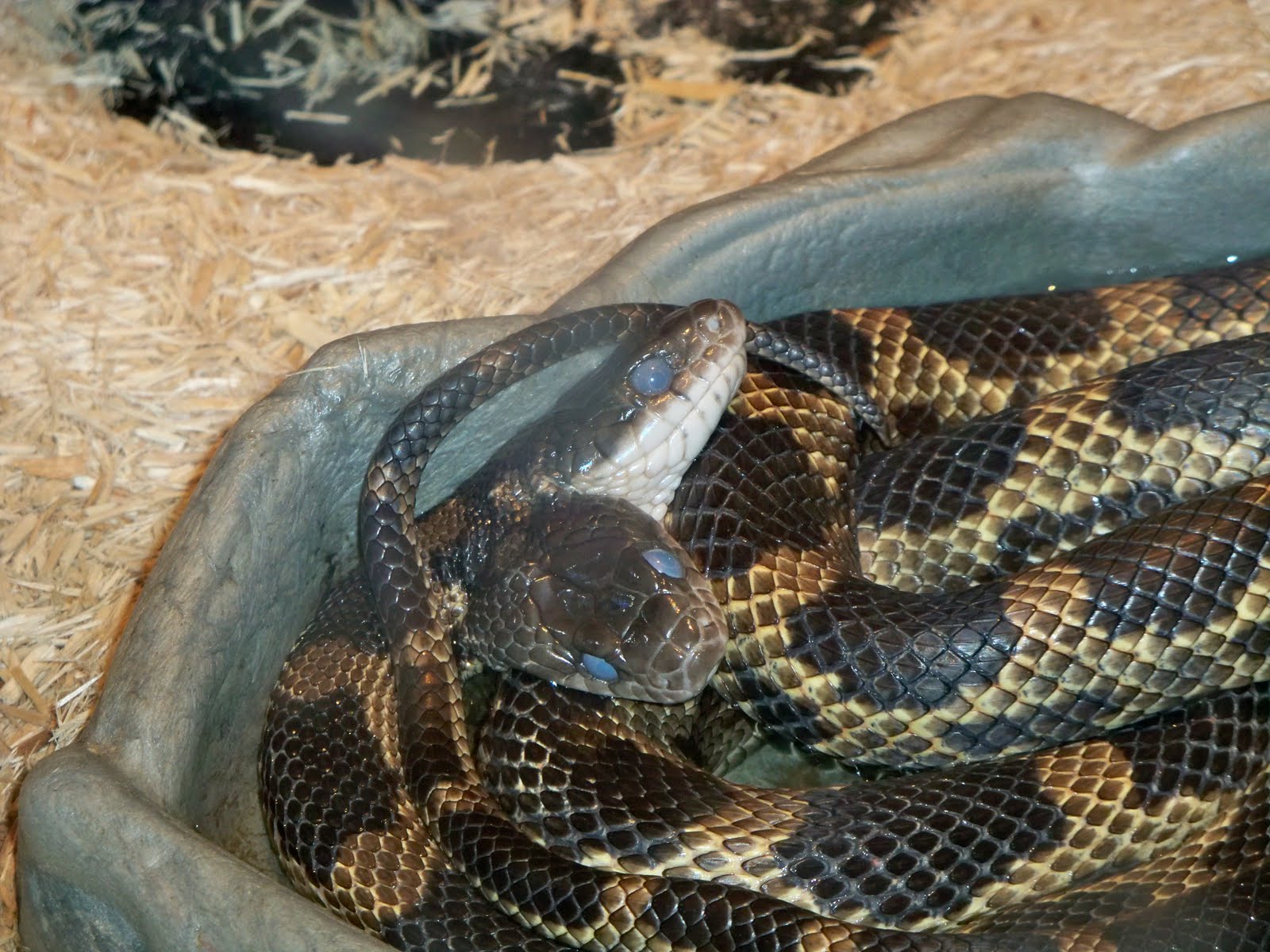 Unto the Least of These: Day 2~ Saturday, April 17