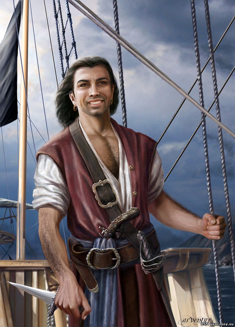 Seafight браузерная онлайн игра