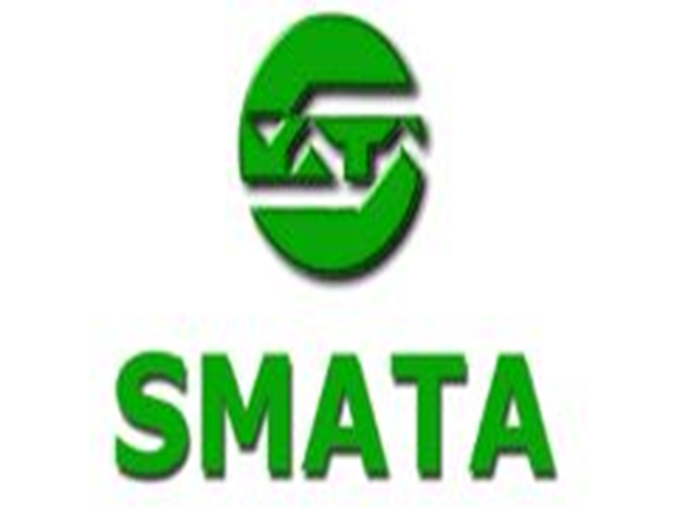 REVISTA DIGITAL L.E.F: MARATÒN INFORMATIVA