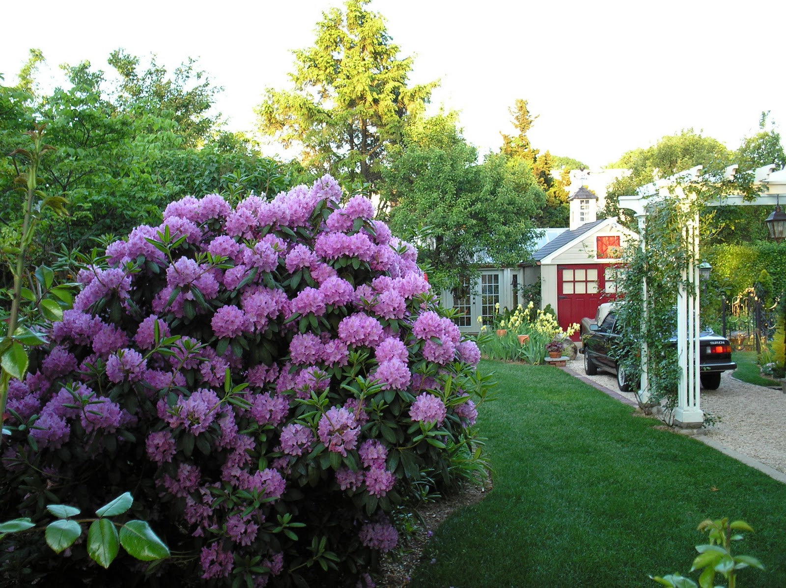 The Style & Design of : DEAN YODER