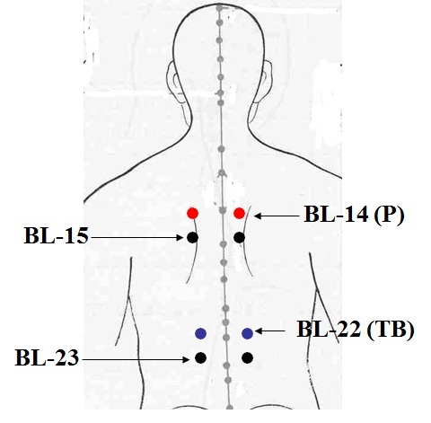 Maciocia Online: BL-22 SANJIAOSHU