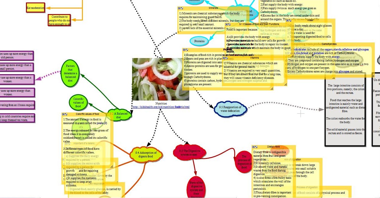 Tropicana Boy: Nutrition Mind Map