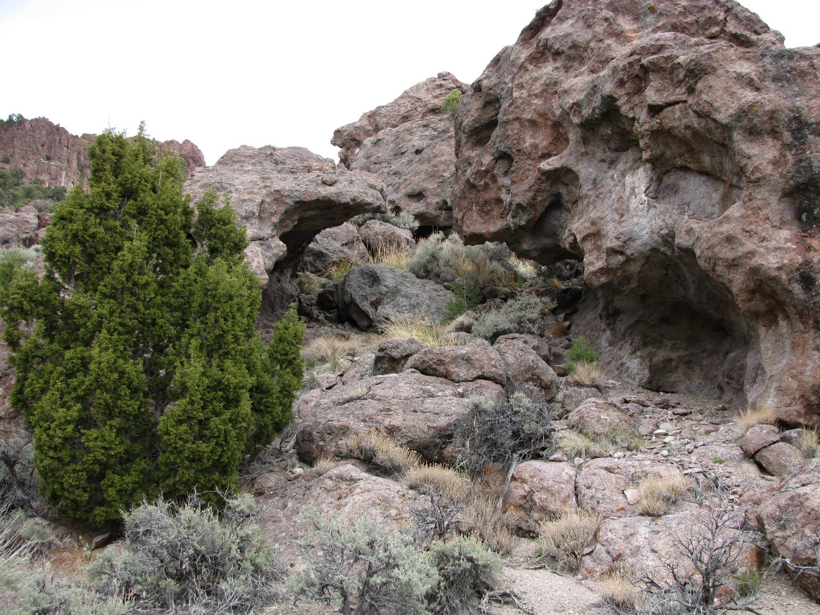 Exploring the American West: Toano Range Exploration