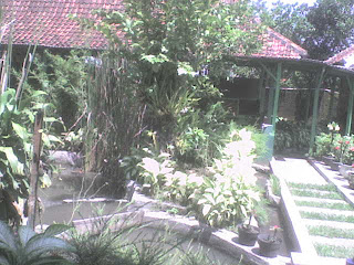 RIDWAN SYAM