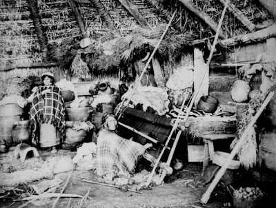 HISTORIA DE CHILE Y DE LA ARAUCANIA: ARTICULO Nº 1 - VIVIENDA MAPUCHE