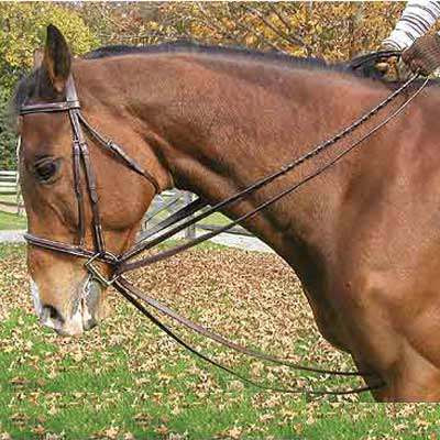 Equine CTS Moduals: Types of mouth reins