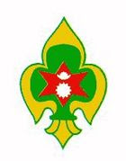 यँ महानगर स्काउट: What is Nepal Scout?