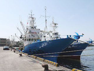 J-FV: NITTO MARU No31 at CHOSHI