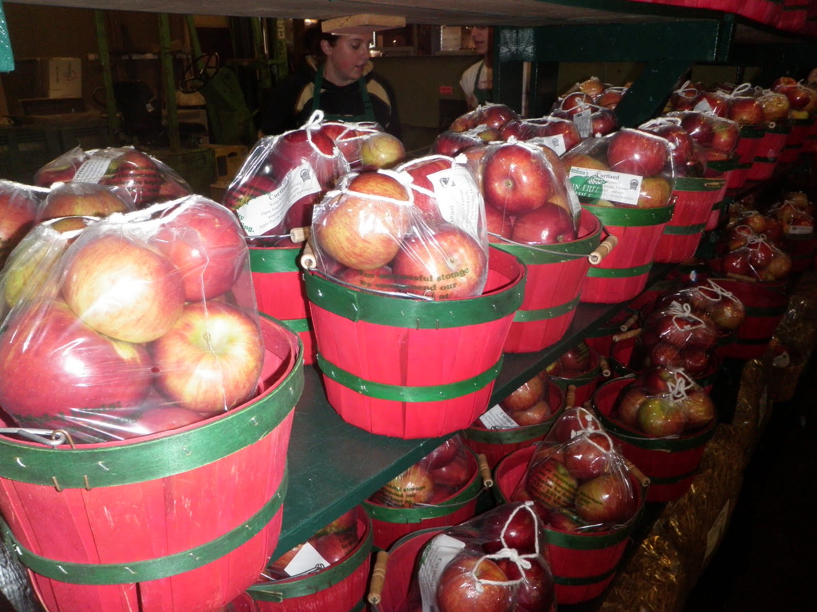 My 3 Munchkins: Pine Tree Apple Orchard