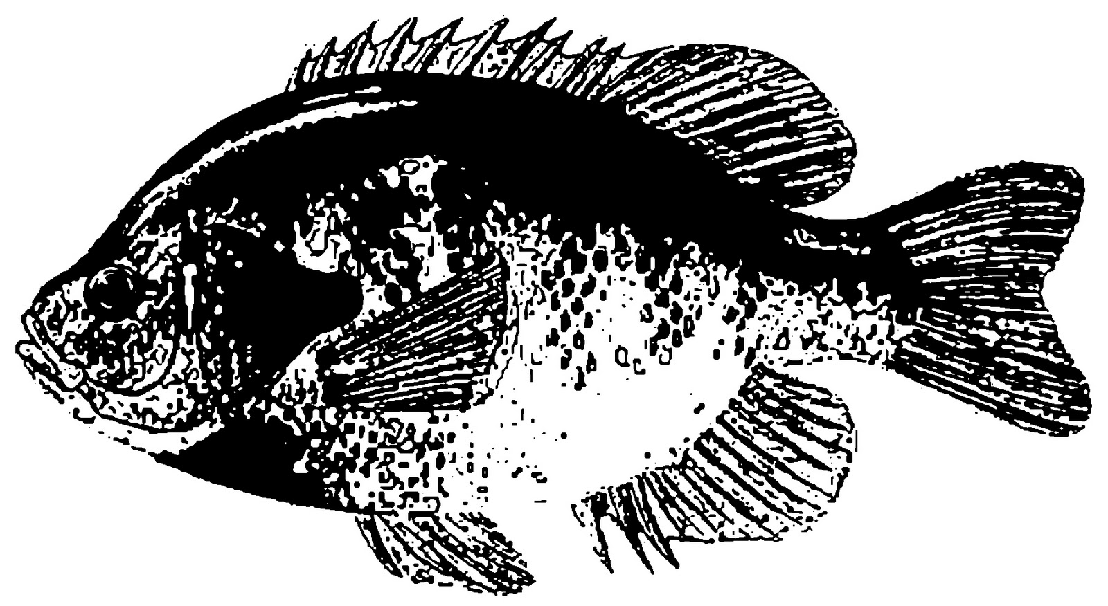 Silkworms Ink: Leviathan | Introduction | Kilbit