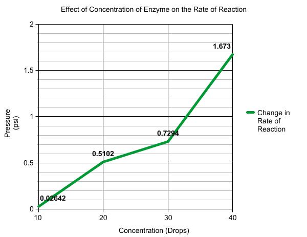 Education from the Student's Perspective: The Joy of Making Bubbles ...