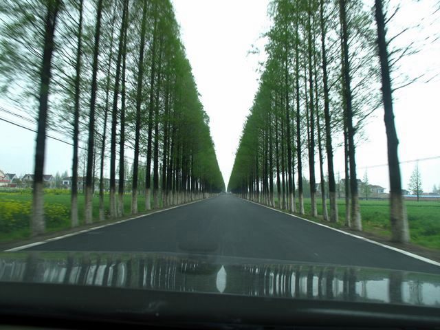 ANGLING WORLD 魔魚釣界: Fishing in China for Yellowcheck Carp ( Elopichthys ...