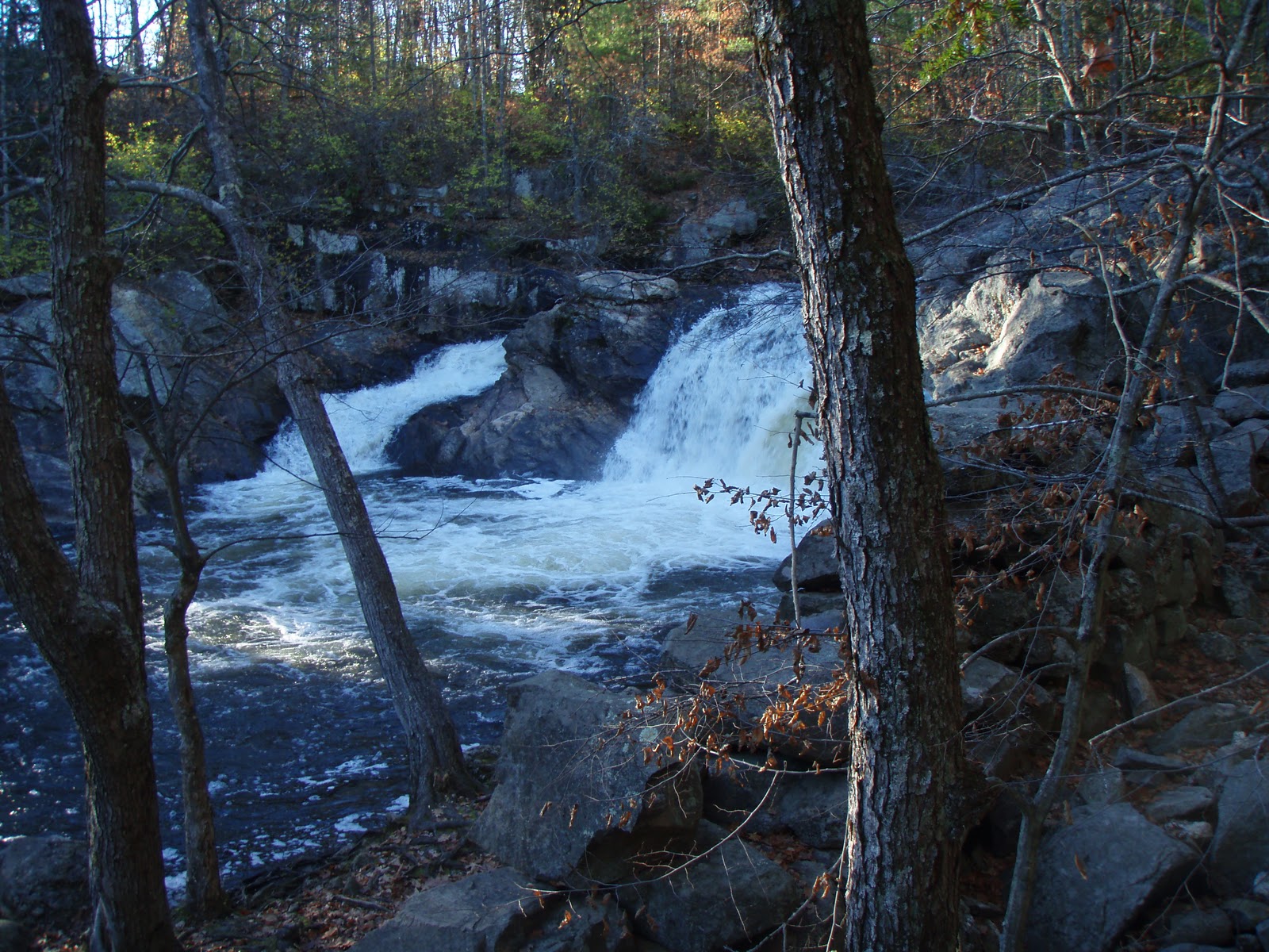 hikethesummits: Gonic Trails