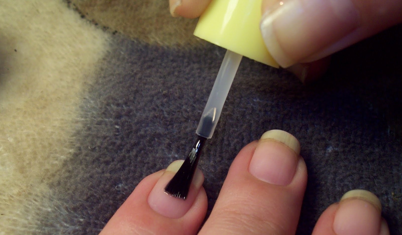 The Manicured Manatee: Lessons From the Looney Bin- Lesson Six.