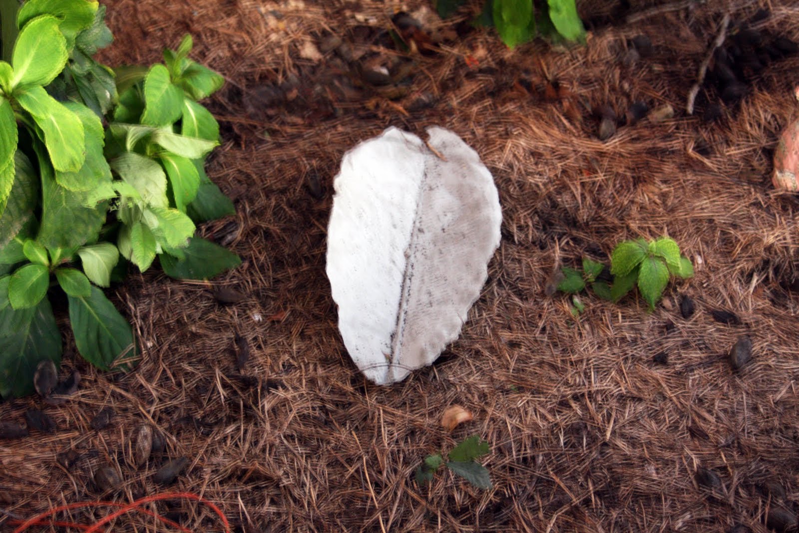 The Creamer Chronicles: More leaf castings