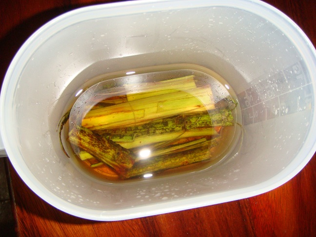 Finca El Tigre: Finca Meeting, Mozote and Camouflage Artists