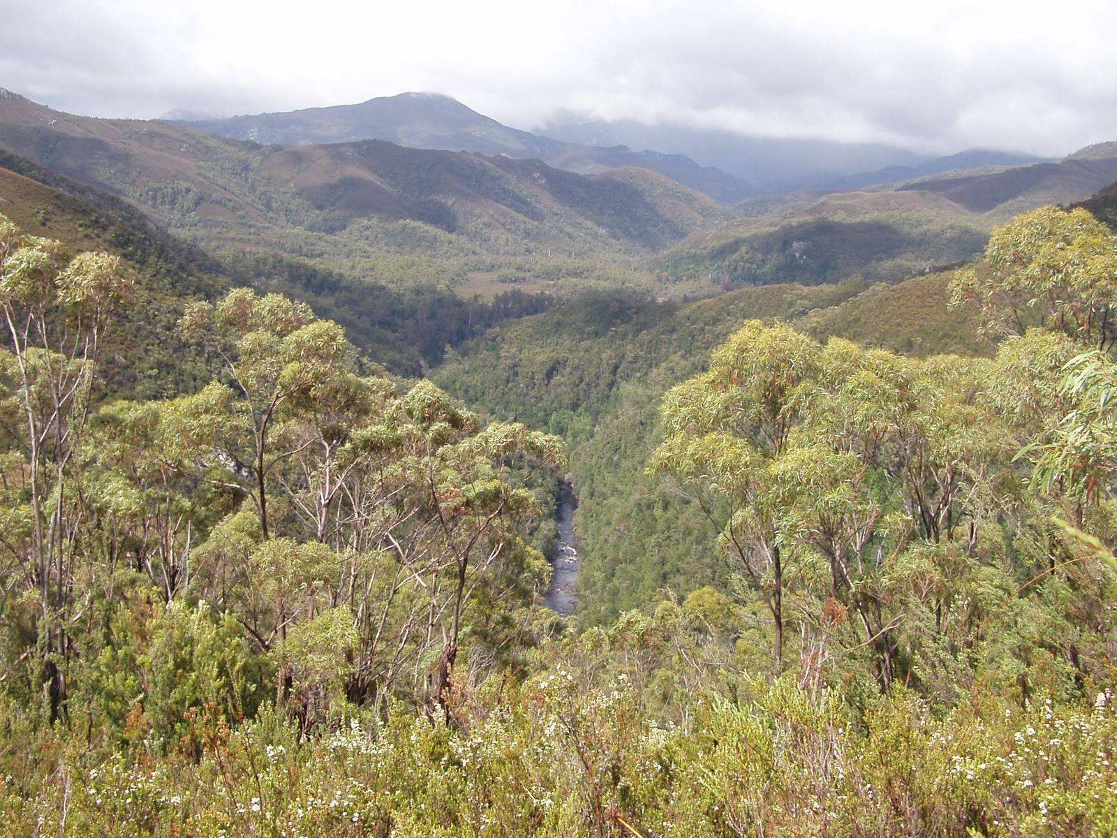 The Big Adventure Continues: The Franklin - Gordon Wild Rivers National ...