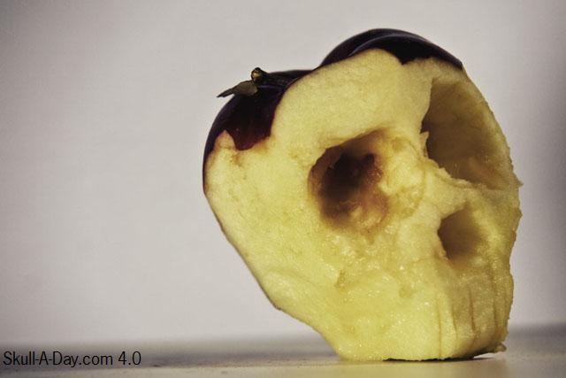 Carved Apple Skull