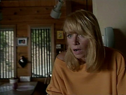 Direct to Video Connoisseur Images: Fast Getaway (1991)