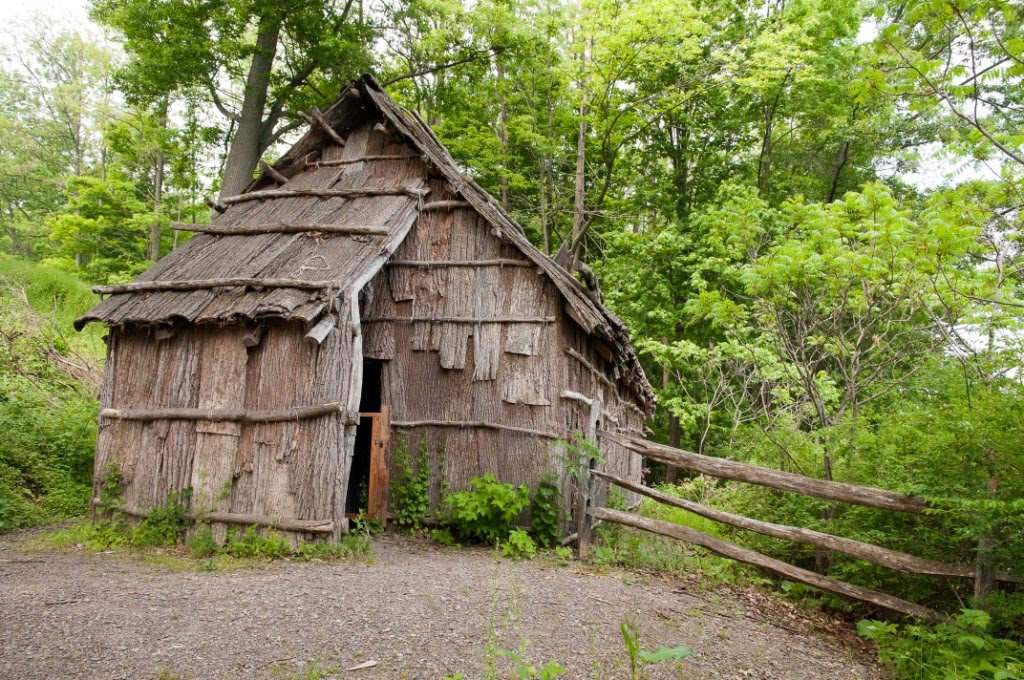 Tree Bark House at Dorothy Butler blog