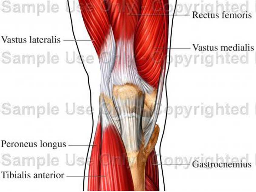 ILMU KESEHATAN : Tehnik Injeksi
