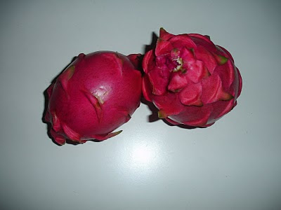 SABOR DE MABOQUE: Pitaia na rua da minha casa