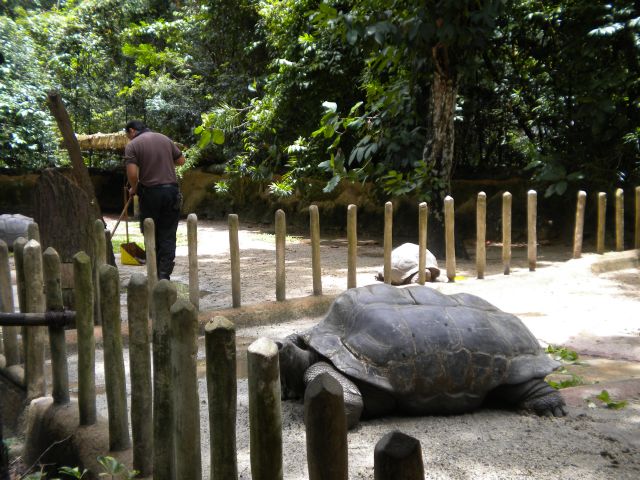 Viagem Incógnita: O Zoo e Sentosa